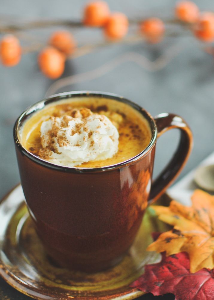 Pumpkin Pie Sip - Trim Healthy Mama